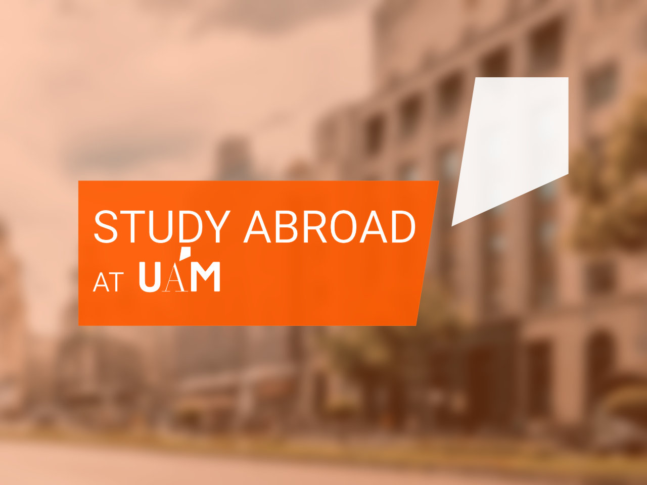 Study abroad at UAM | UAM