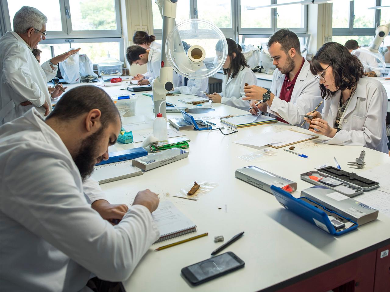 Grupos de investigación | UAM