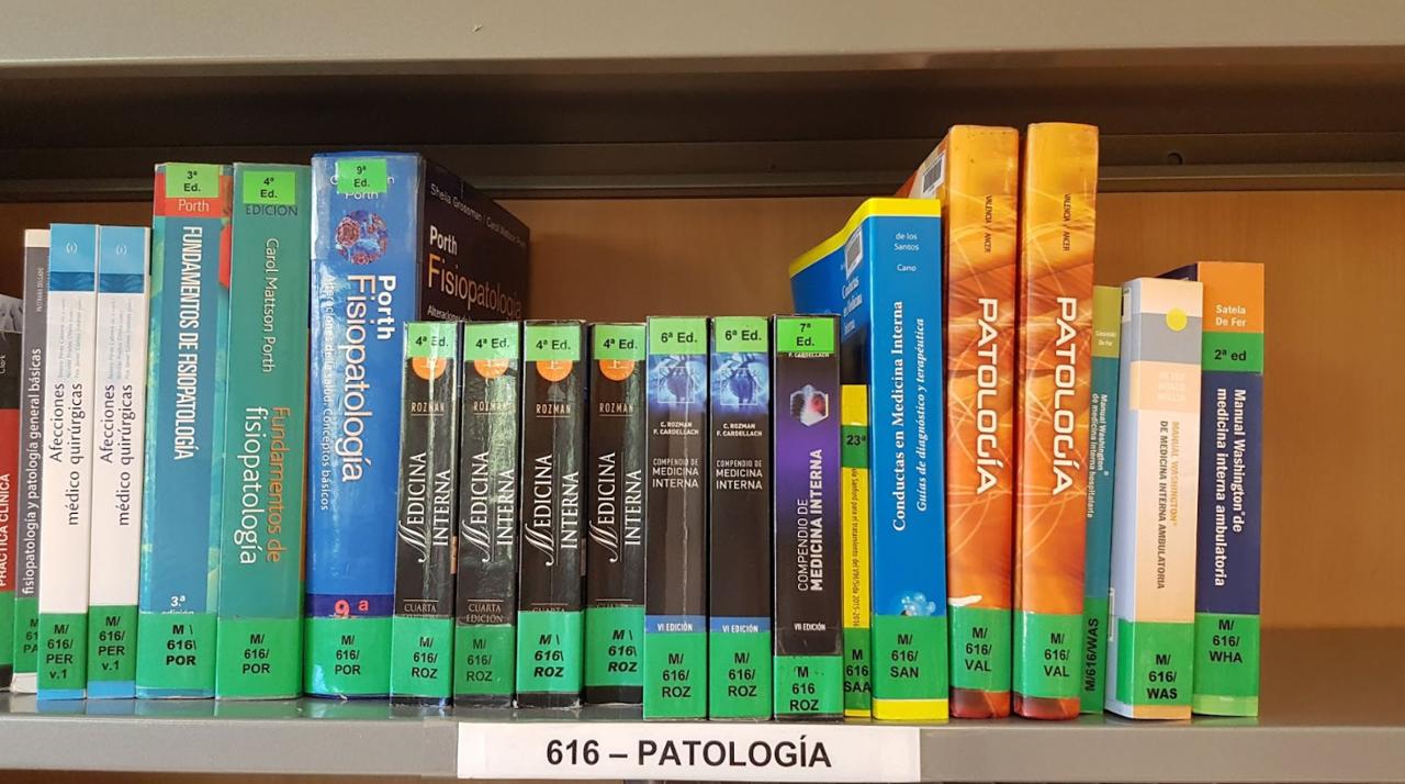 Los palabros de la biblio