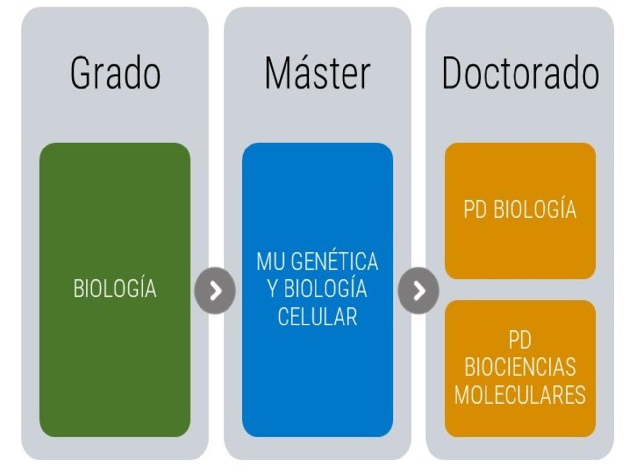 Máster en Genética y Biología Celular | UAM Máster en Genética y Biología Celular | UAM