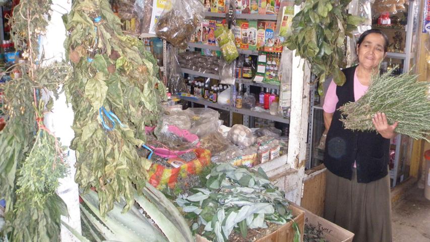 Estudian el uso de plantas medicinales en los Andes peruanos | UAM