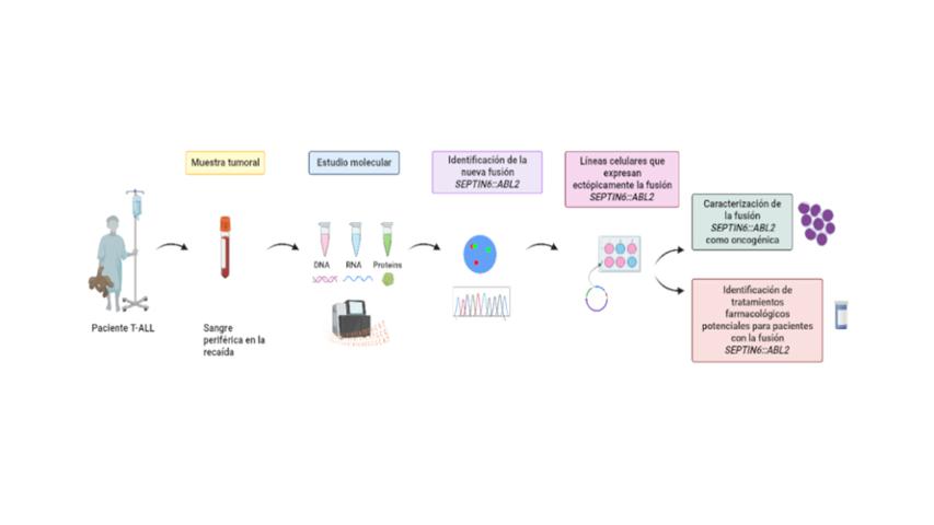 Identifican una nueva fusión oncogénica y tratable en tumores ...