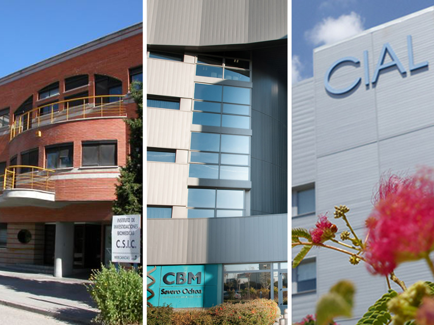 LA UAM y el CSIC refuerzan su colaboración con la regulación de los ...