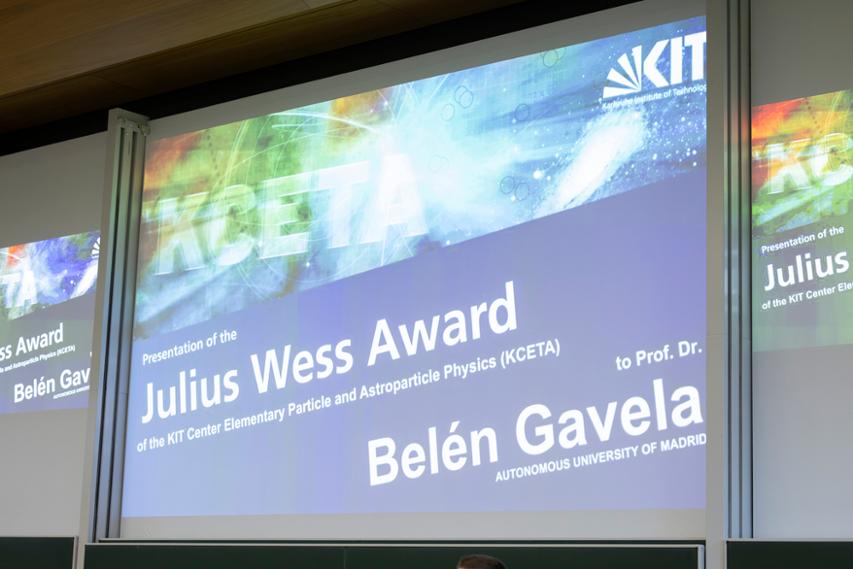 Belén Gavela, catedrática de Física Teórica de la UAM, recibe el Premio ...
