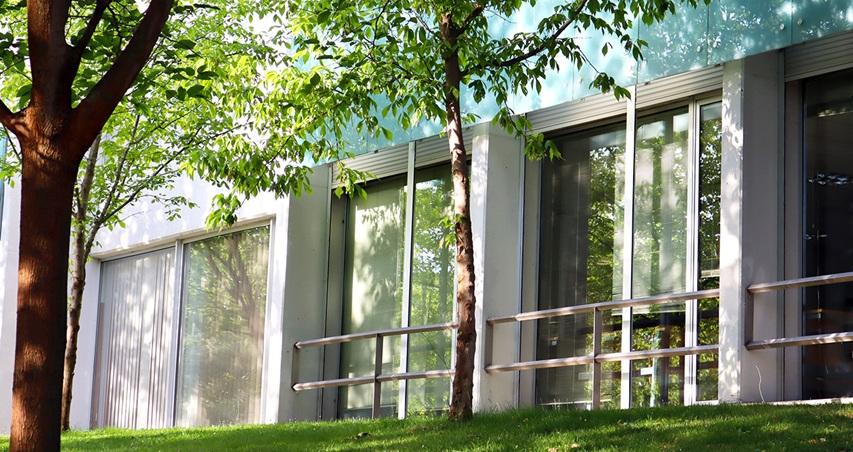 Estructura Portal Transparencia | UAM