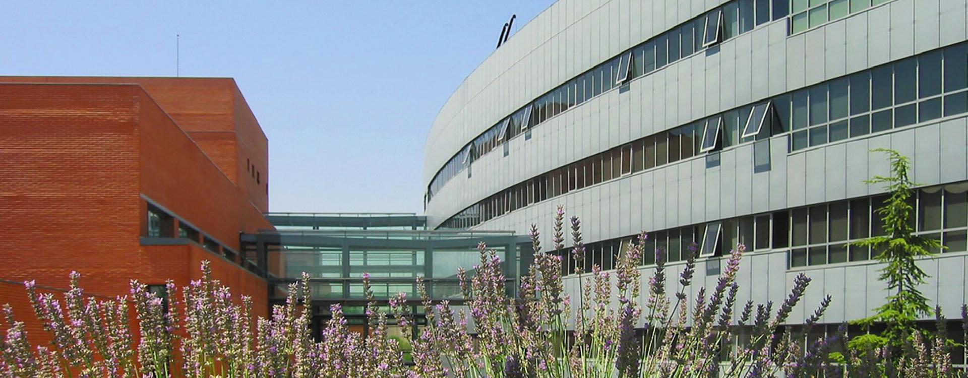 Tecnologías de la información | UAM